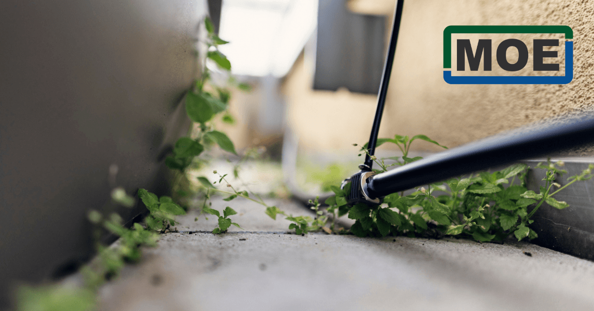 How to Prepare Your Plumbing for the Spring Weather